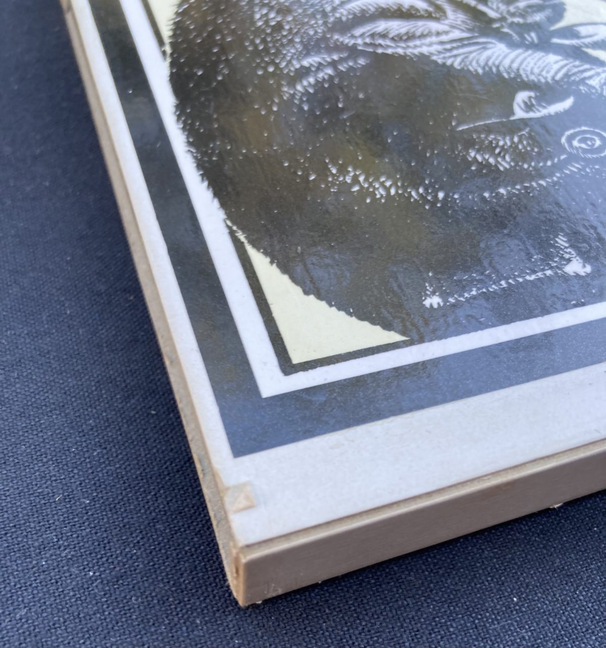 Franquin - Schwarze Gedanken Komplet - Tirage de tête (1989) - Amazonie ...